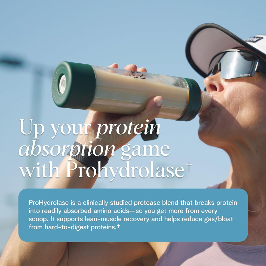 high-quality plant protein powder