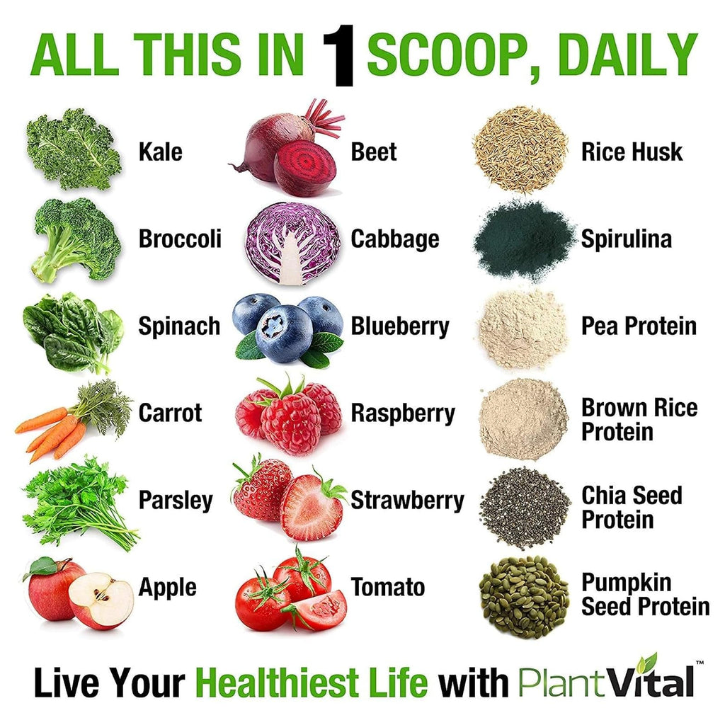 High-quality plant protein source