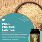 High quality plant protein source
