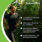 high quality plant protein supplement