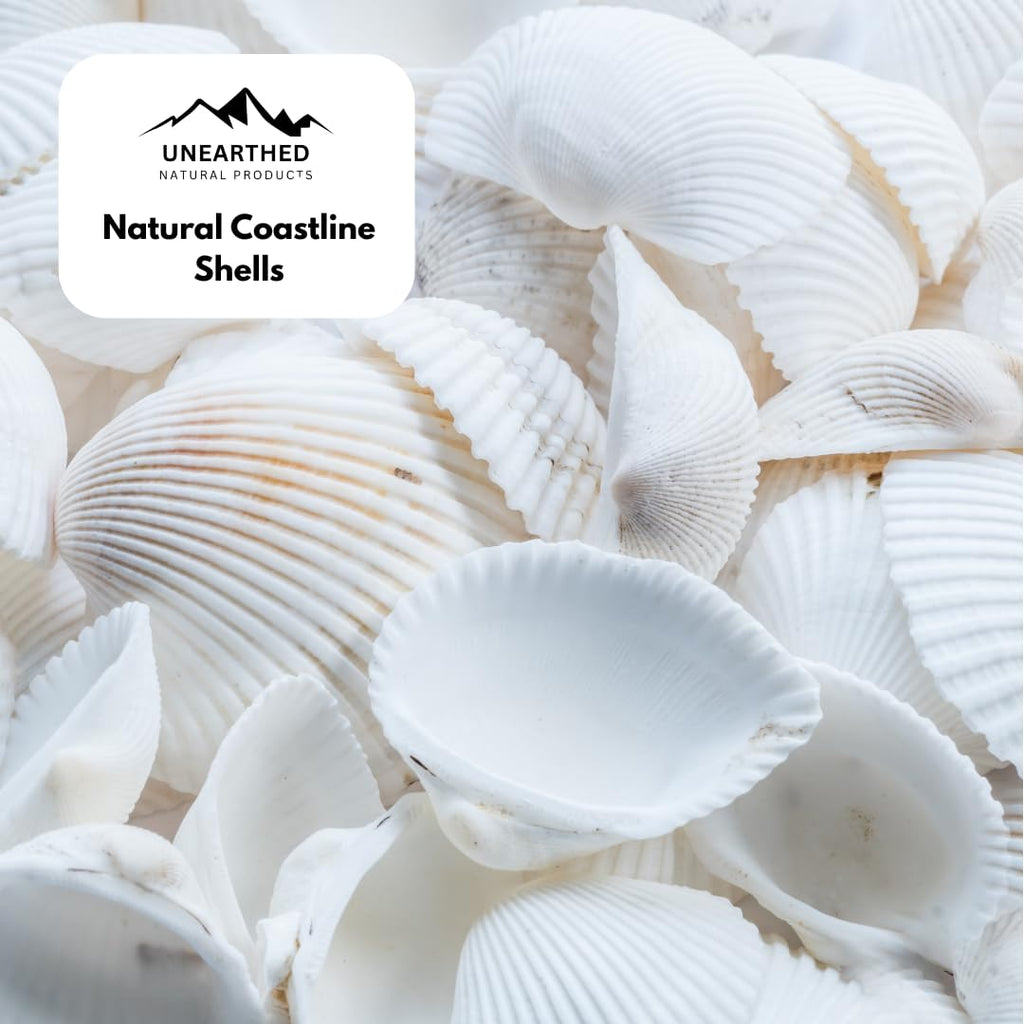 High-quality poultry shells for eggs