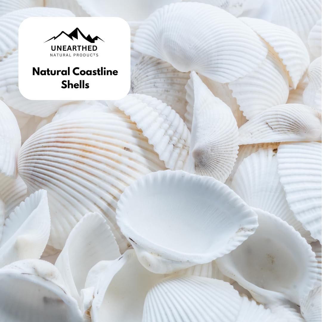 High-quality poultry shells for eggs