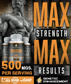 high-quality pre-workout for energy