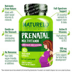 high-quality prenatal multivitamin with choline