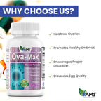 high-quality prenatal vitamins for health