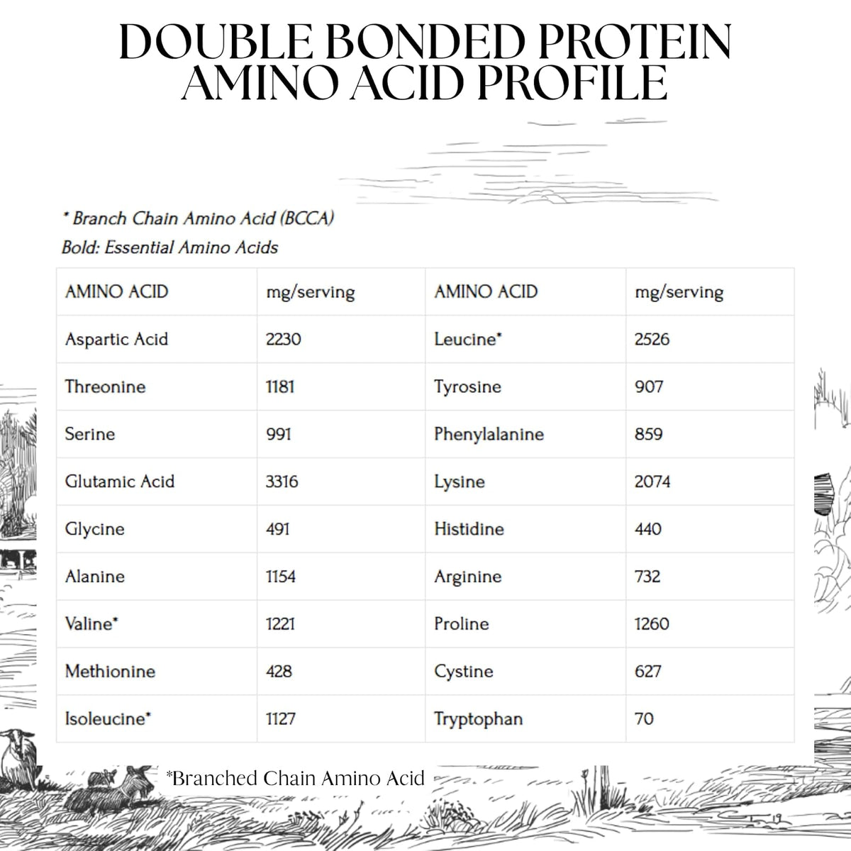 high-quality protein for athletes