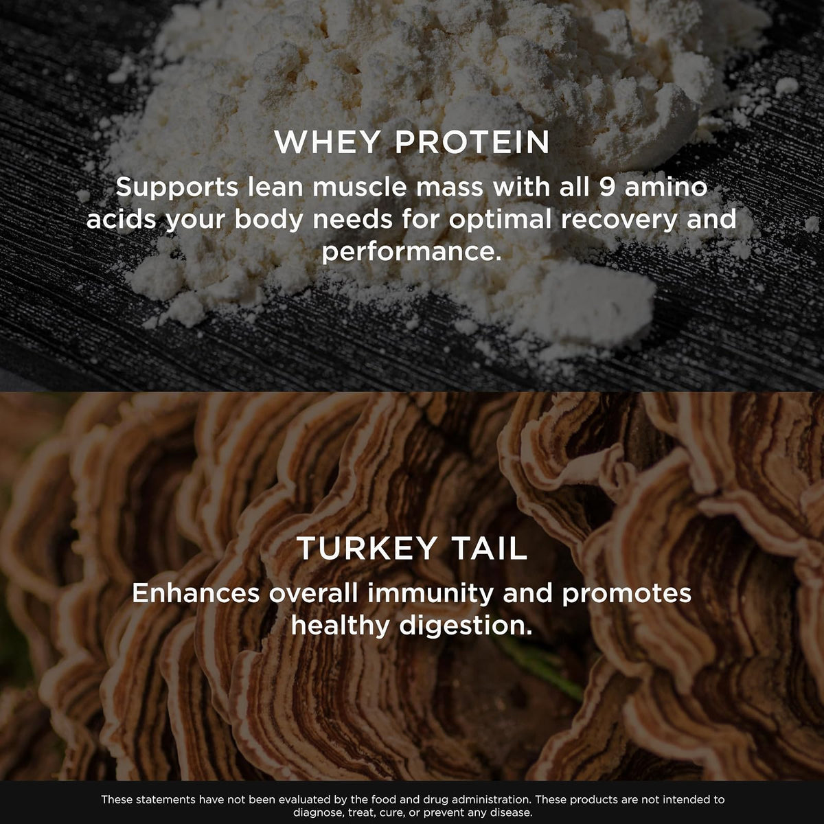 high-quality protein for muscle gain