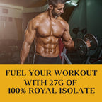 high-quality protein for muscle recovery