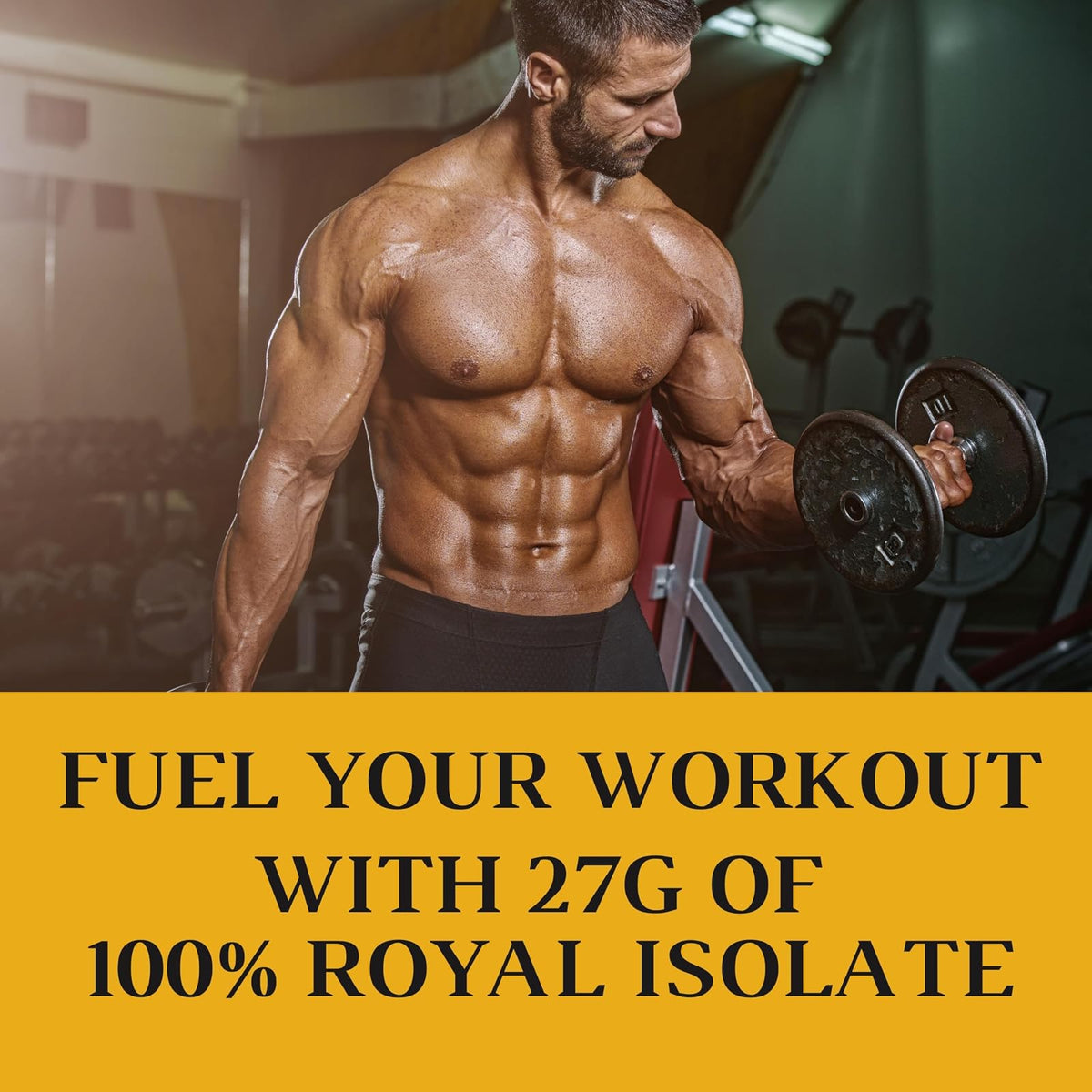 high-quality protein for muscle recovery