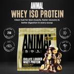 high-quality protein for muscle recovery