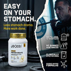 high-quality protein for muscle recovery