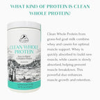 high-quality protein for recovery