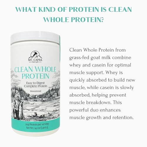 high-quality protein for recovery
