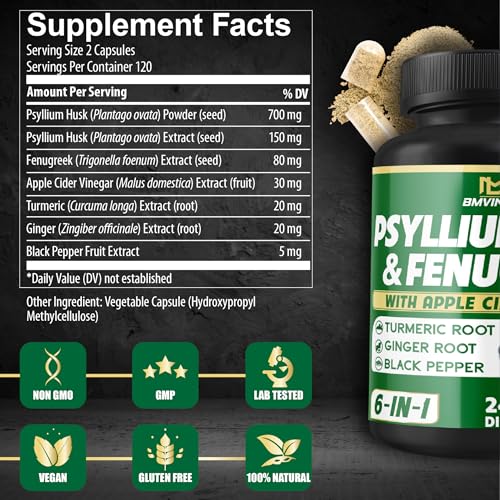 high-quality psyllium fiber source
