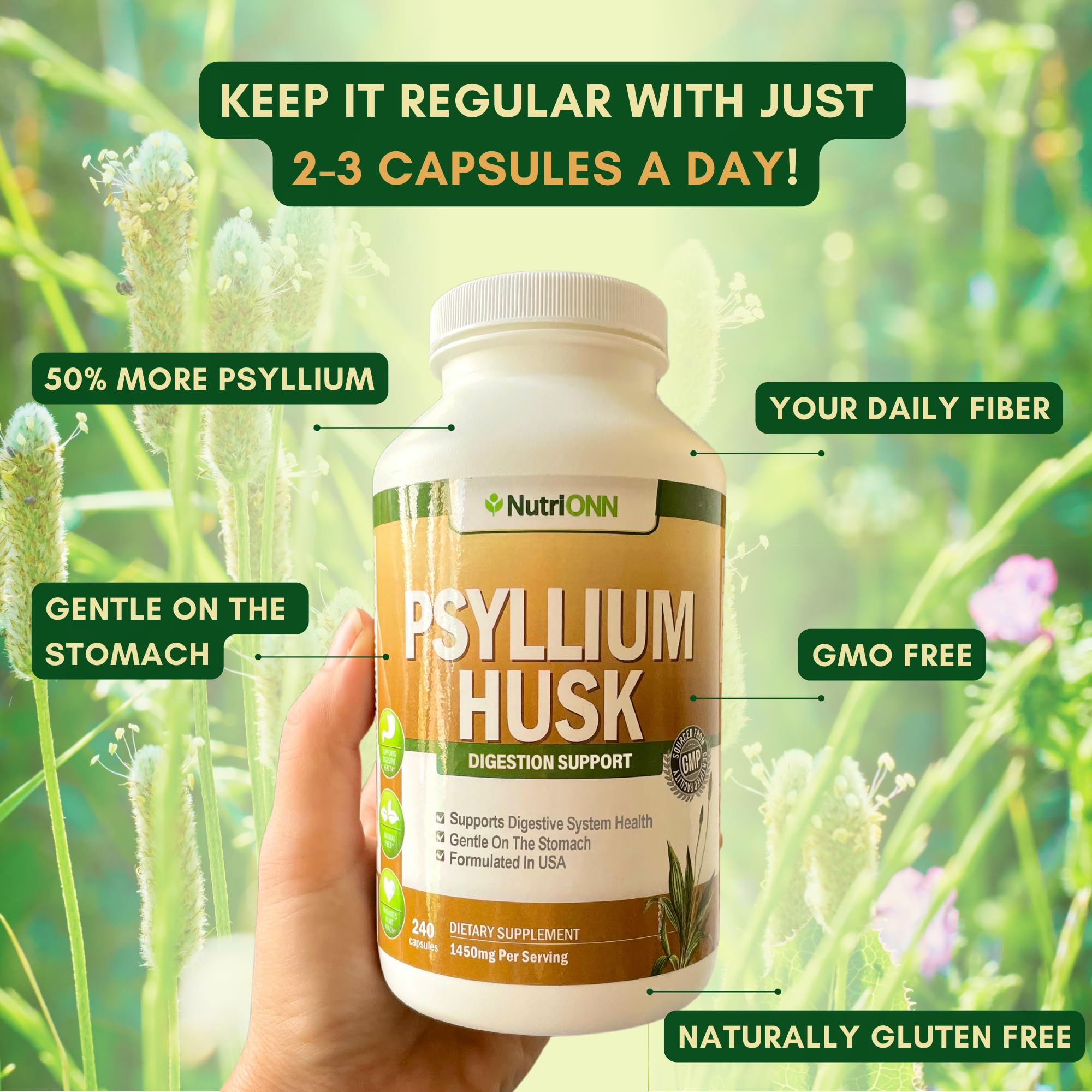 High-quality psyllium for healthy digestion