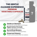high-quality psyllium husk for wellness