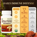 High-quality Reishi mushroom extract