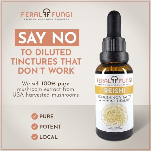 high-quality reishi mushroom supplement