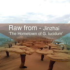 high-quality reishi powder for daily use