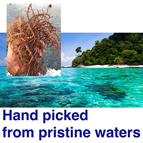 High-quality sea moss gel for vitality