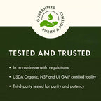 high-quality Shilajit extract capsules