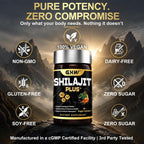 High-quality Shilajit for men