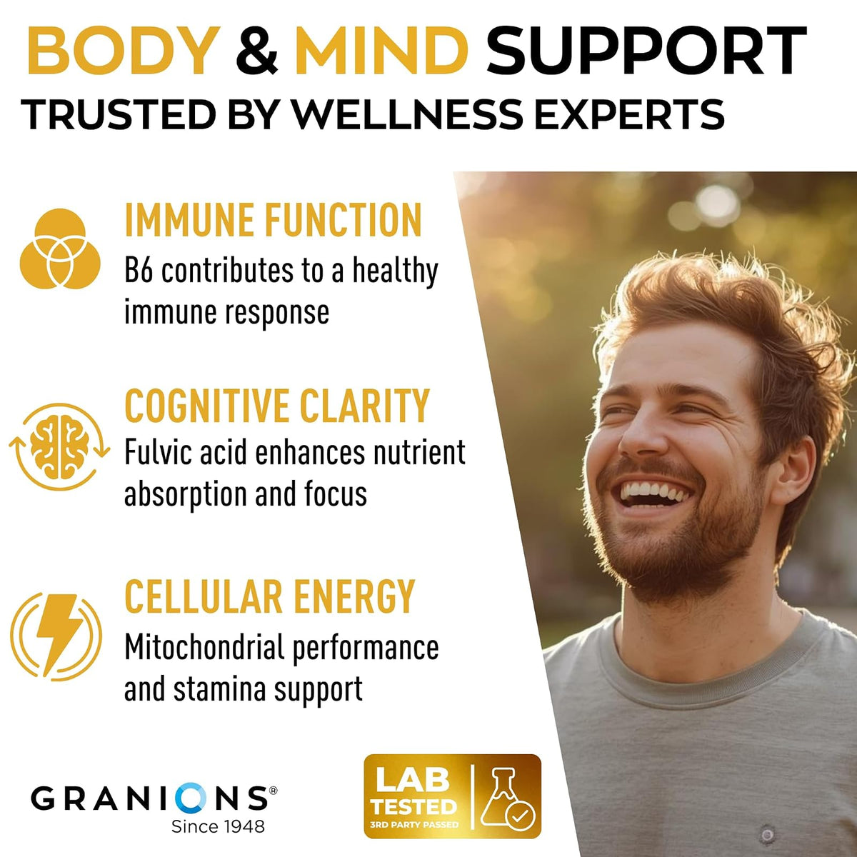 high-quality shilajit resin benefits