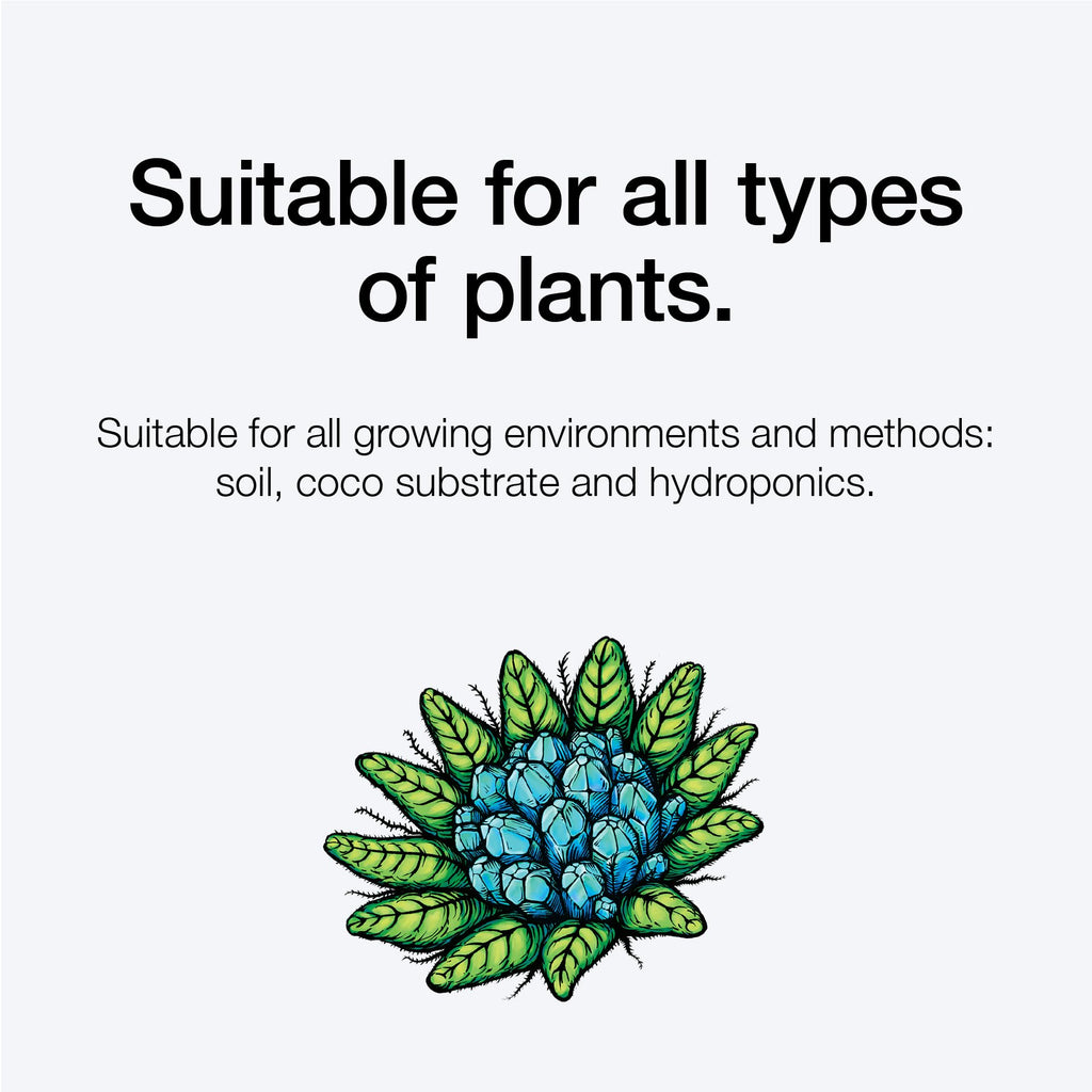 high-quality silicon for mineral support