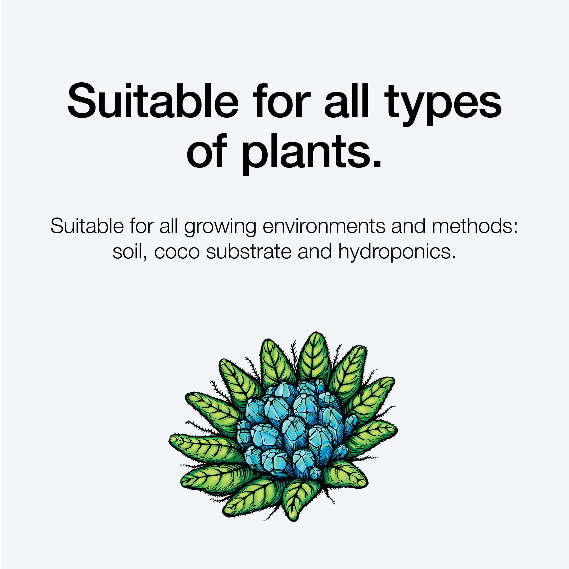 high-quality silicon for mineral support