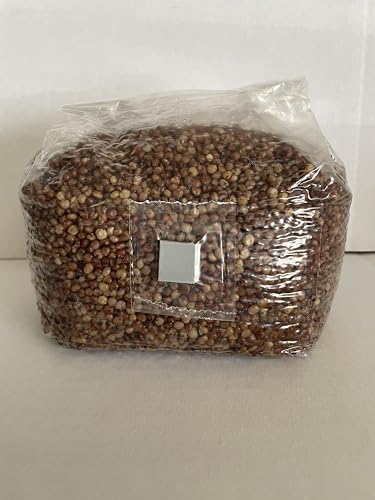 high-quality sorghum for mushrooms