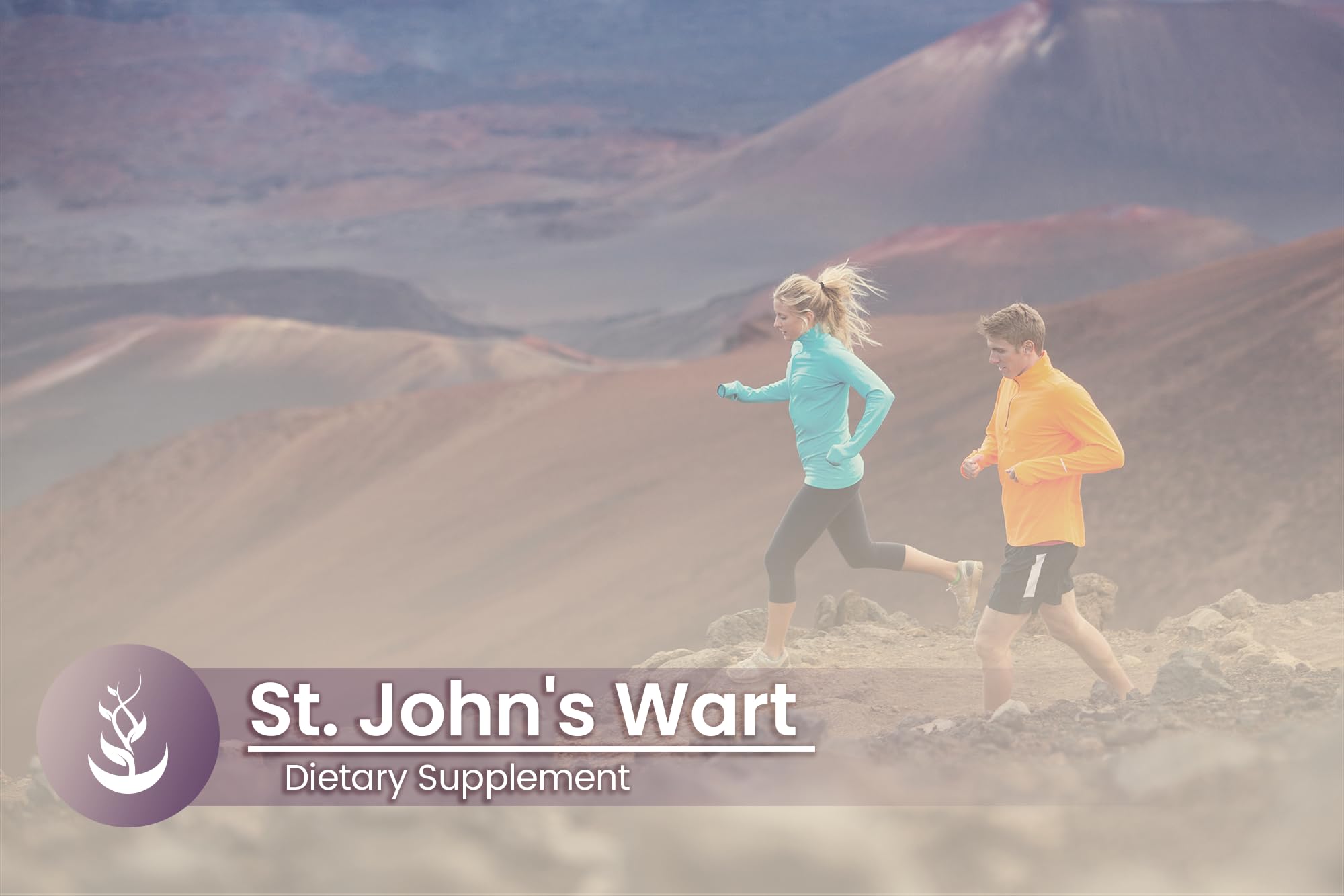 high-quality st. john's wort for wellness