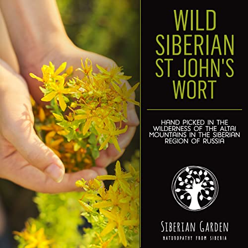high quality st. john's wort