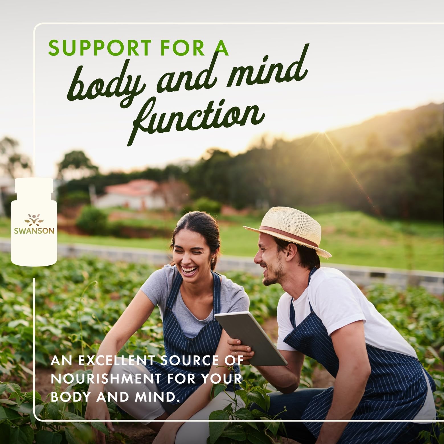 high-quality sunflower lecithin supplement