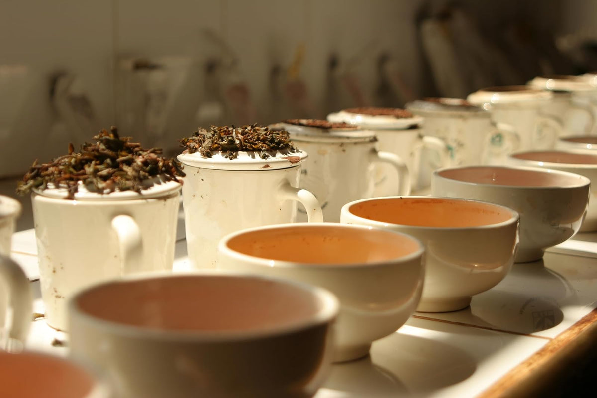 high-quality tea for brewing