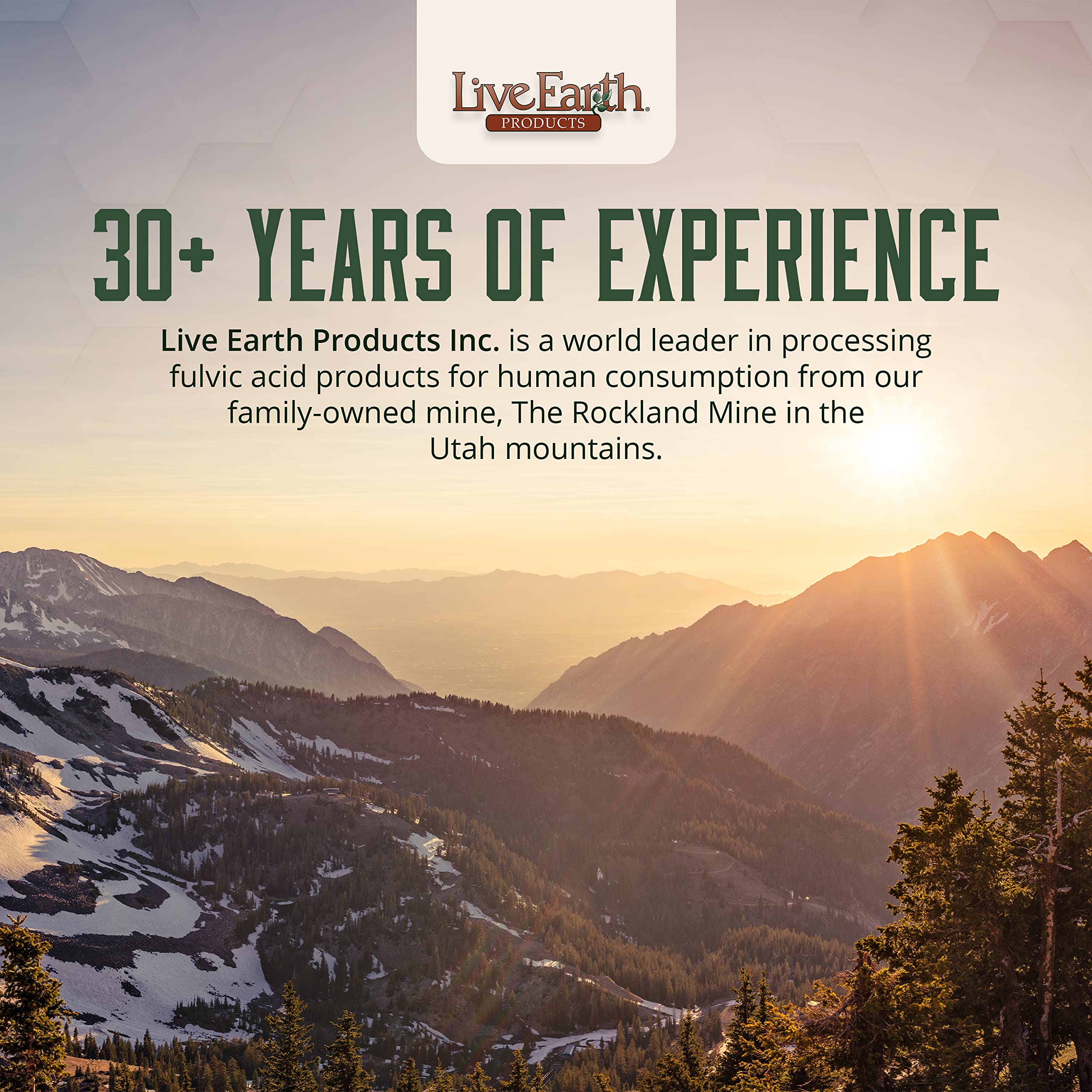high-quality trace minerals for wellness