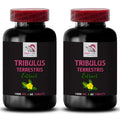 high-quality tribulus terrestris supplement