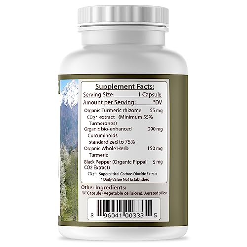high-quality turmeric capsules for digestion