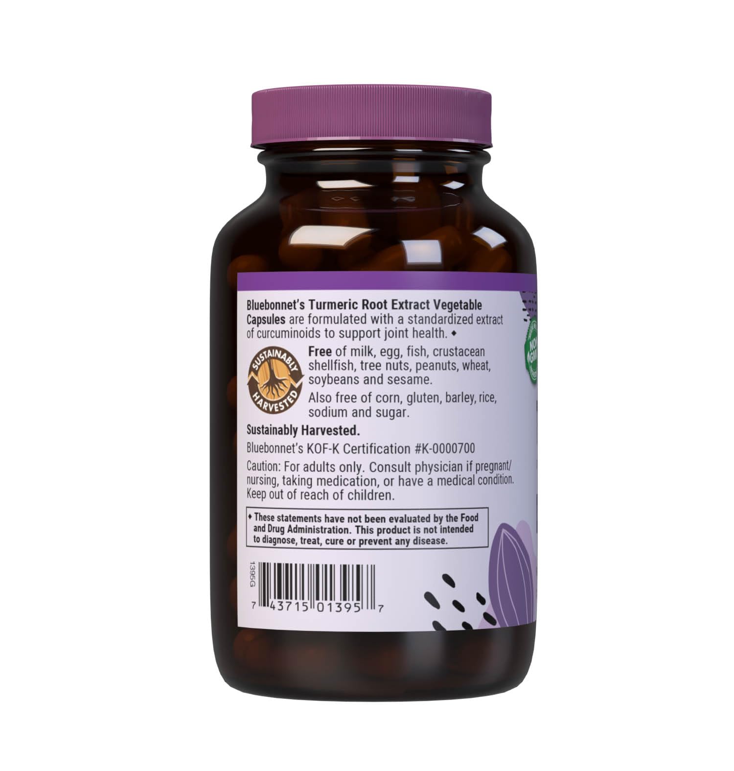 high-quality turmeric root supplement