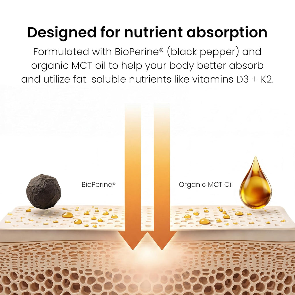 high-quality turmeric spice powder