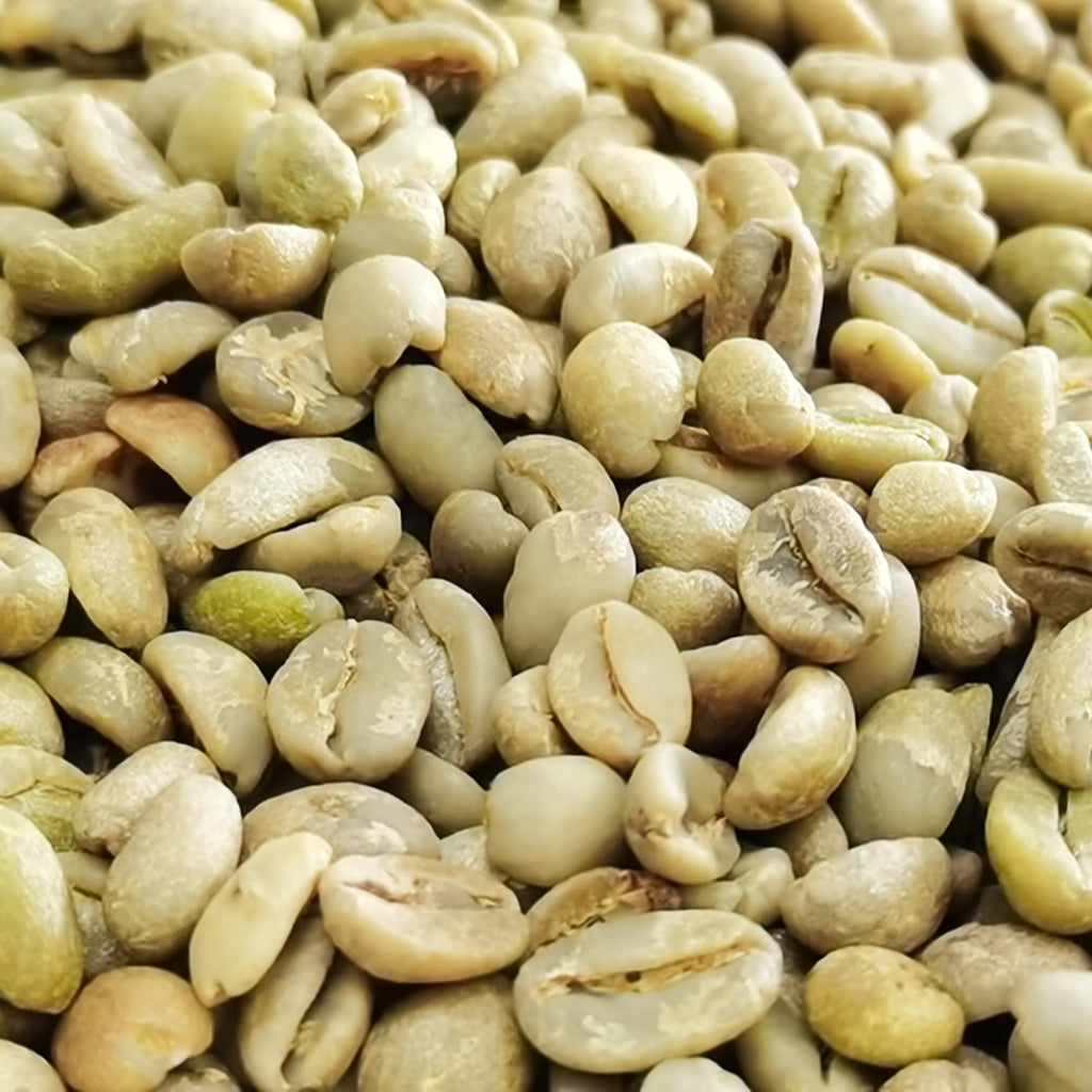 high-quality unroasted coffee beans Canada