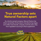 high-quality vegetarian multivitamin capsules