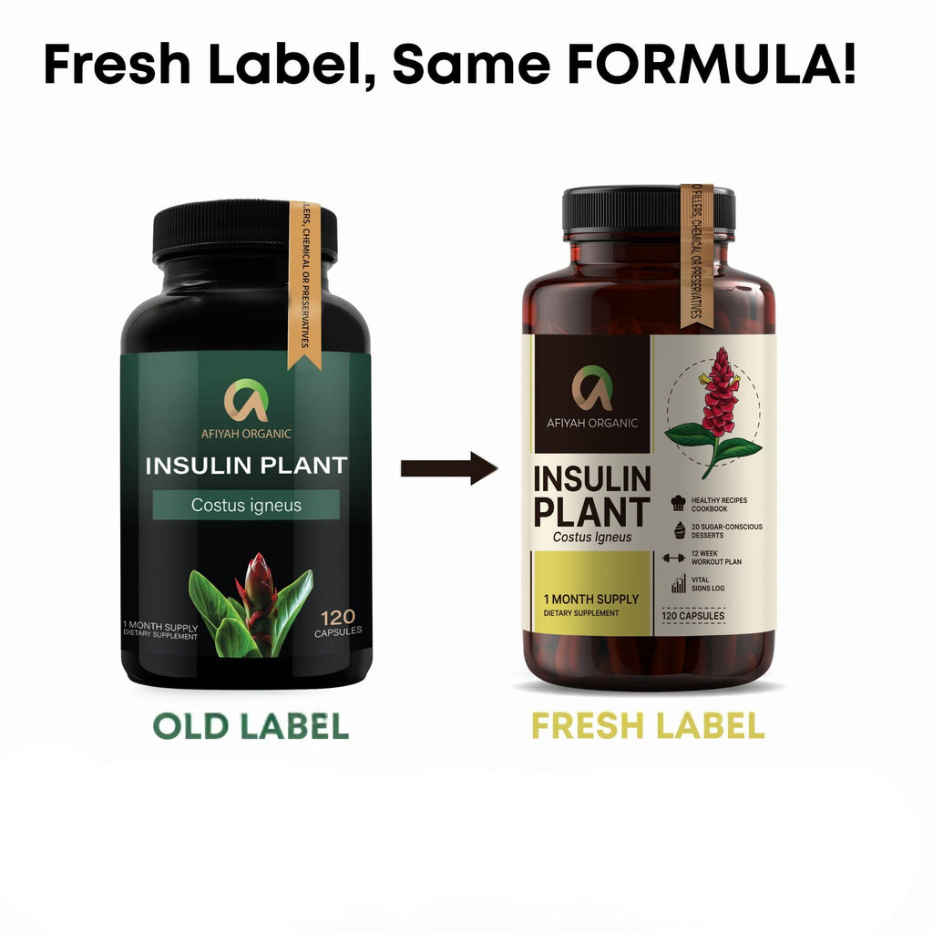 High-quality veggie capsules for daily nutrition