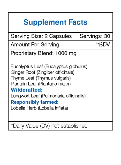 high-quality vitamin and mineral supplement