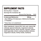 high-quality vitamin B complex supplement