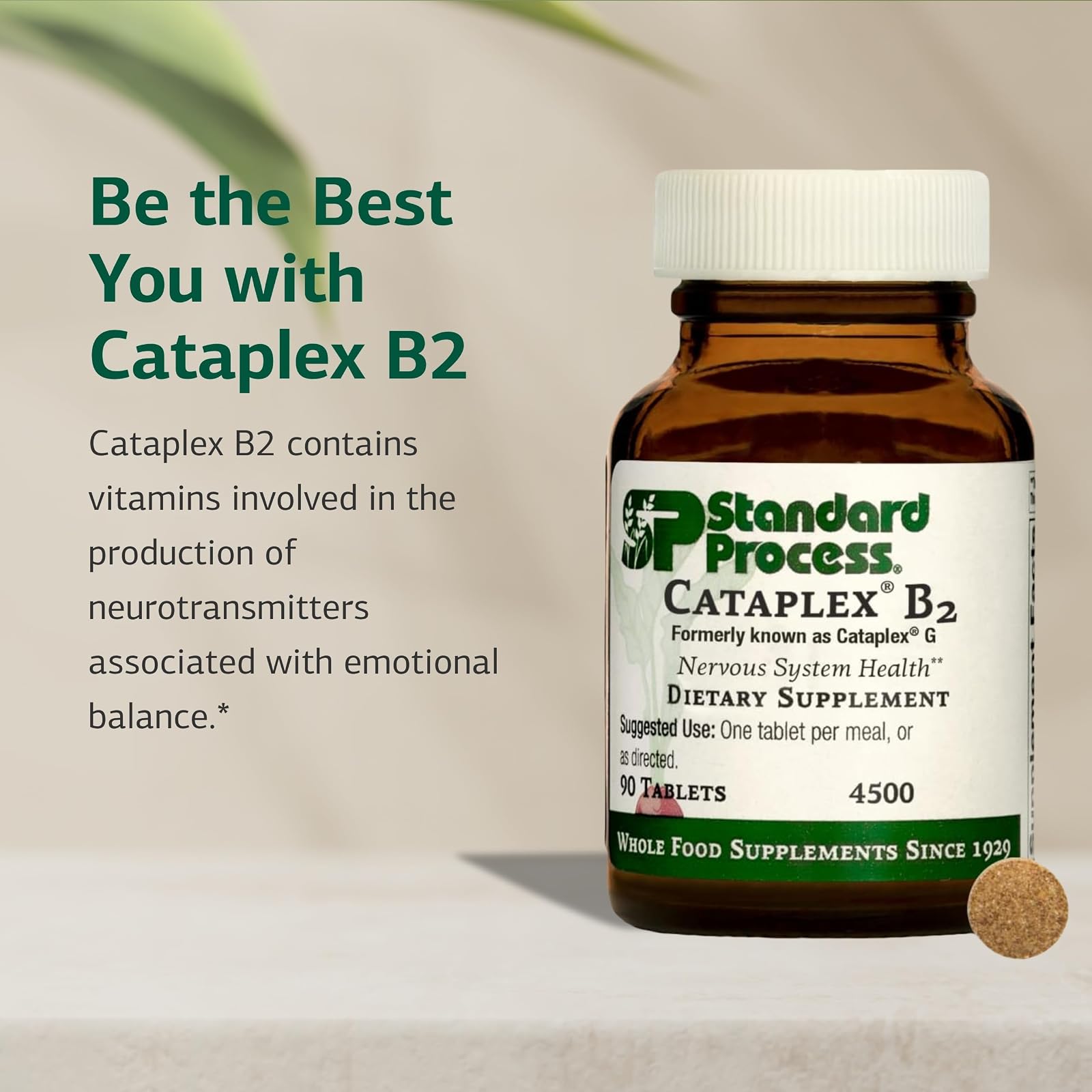 High-quality vitamin B2 supplement