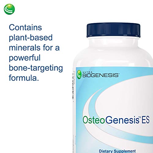 high-quality vitamins for energy boost