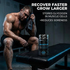 High-quality weight gainers for serious lifters