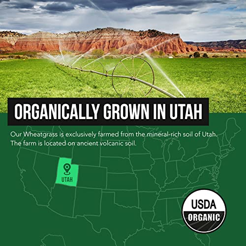 high-quality wheatgrass juice powder