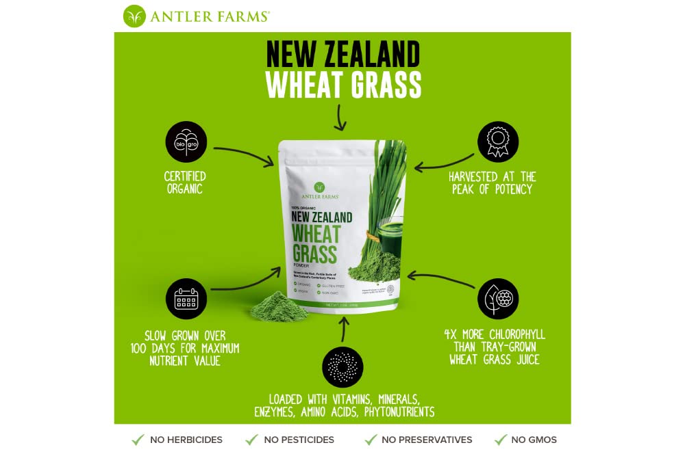 high-quality wheatgrass powder supplement
