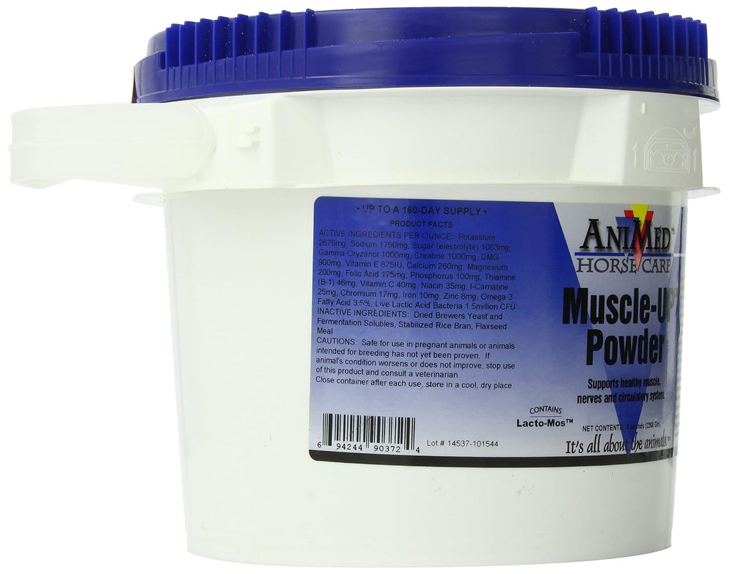 high-quality whey protein for athletes